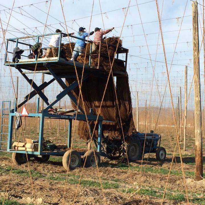 Yakima Chief Ranches - Zillah, WA | 509 Local
