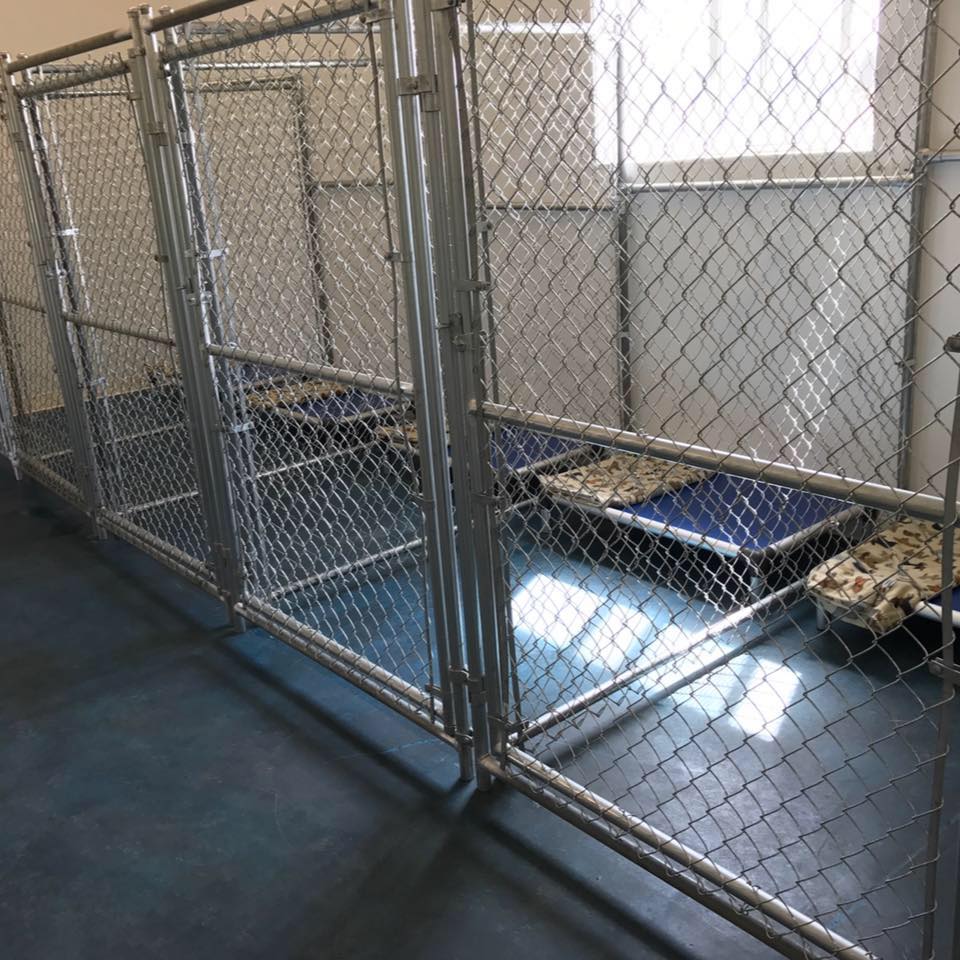 Badger Canyon Dogs - Benton City, WA | 509 Local